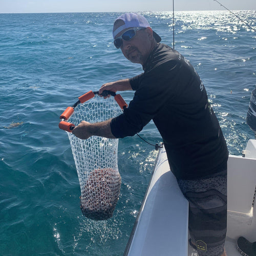 The ChummyHoop | Self Cleaning Chum Bag Net – The BallyHoop